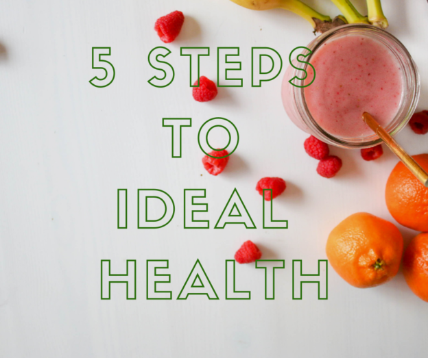 5 steps to ideal health - Dutch PT